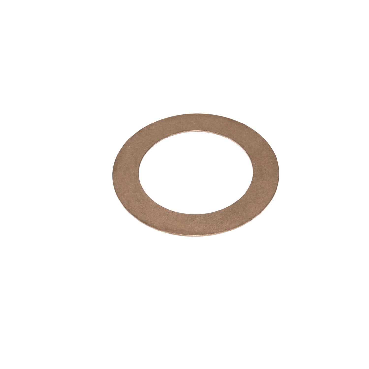 Bronze CAM Shim, for 6100 Belt Drive SYS